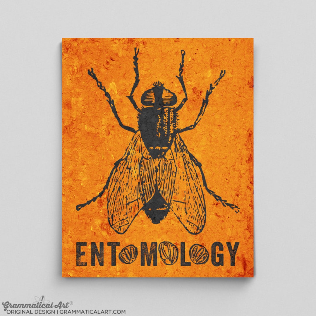 Forensics Gifts Entomology Poster Forensic Science Poster Life Cycle ...