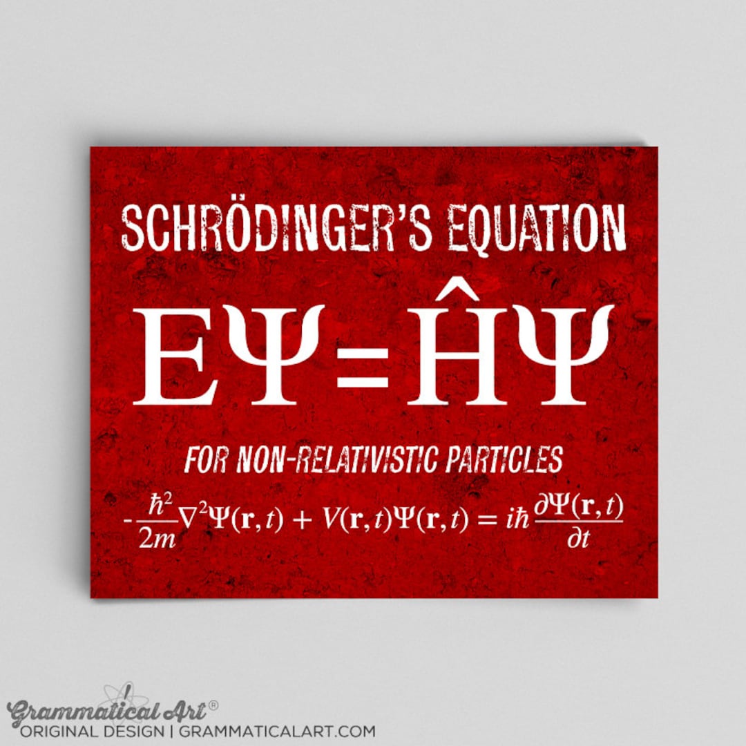 Physics Teacher Gifts Classroom Poster Schrodinger's Equation Print ...
