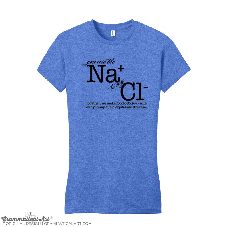 Funny Science Shirt Nerdy Shirt Sodium Joke Scientist Science | Etsy
