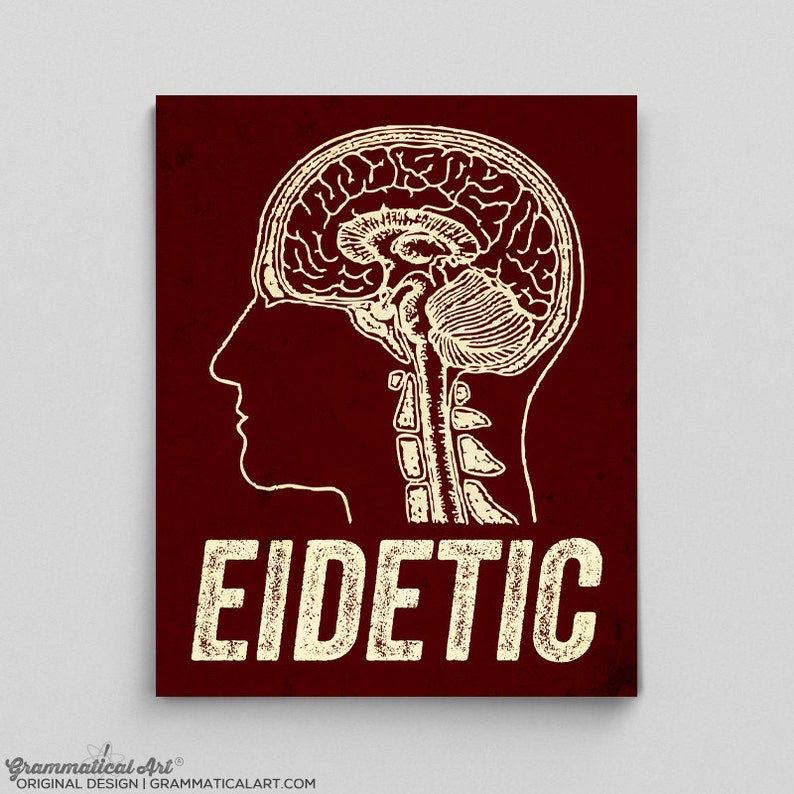 Eidetic Memory Print Brain Cross Section Brainy Science Art Typographic ...