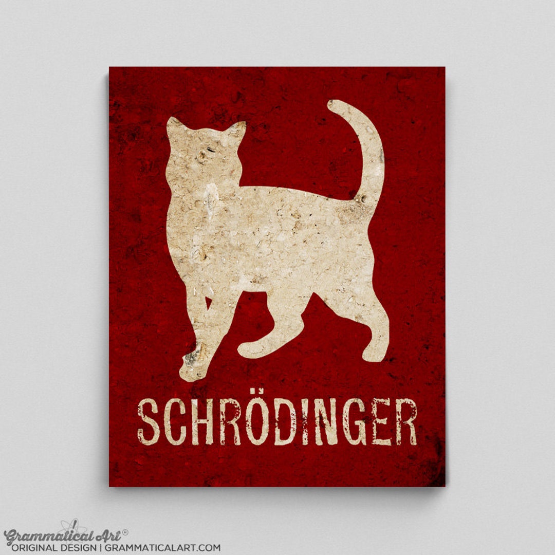 Schrodinger's Cat Physics Poster Print Quantum Mechanics Poster Funny ...