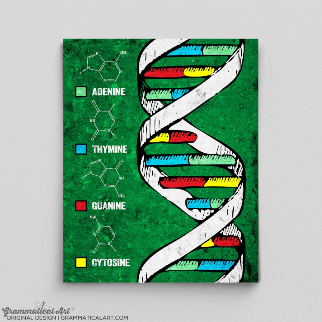 Science Art Print, DNA Gifts, DNA Poster, DNA Print, Biochemistry Gift ...