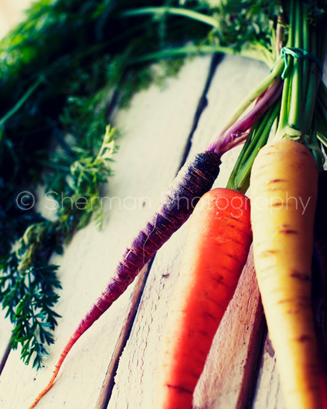 Carrot Photo - Food Photo - Rustic Print - 8x10 8x8 10x10 11x14 12x12 ...