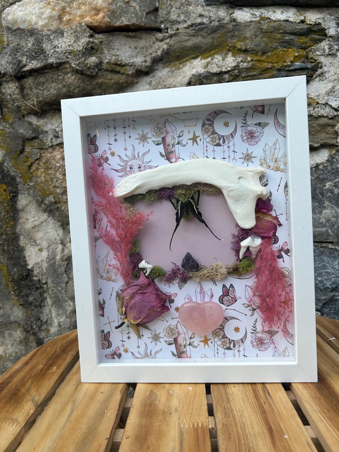 Butterfly and Coyote Jaw Art Shadow Box - Etsy