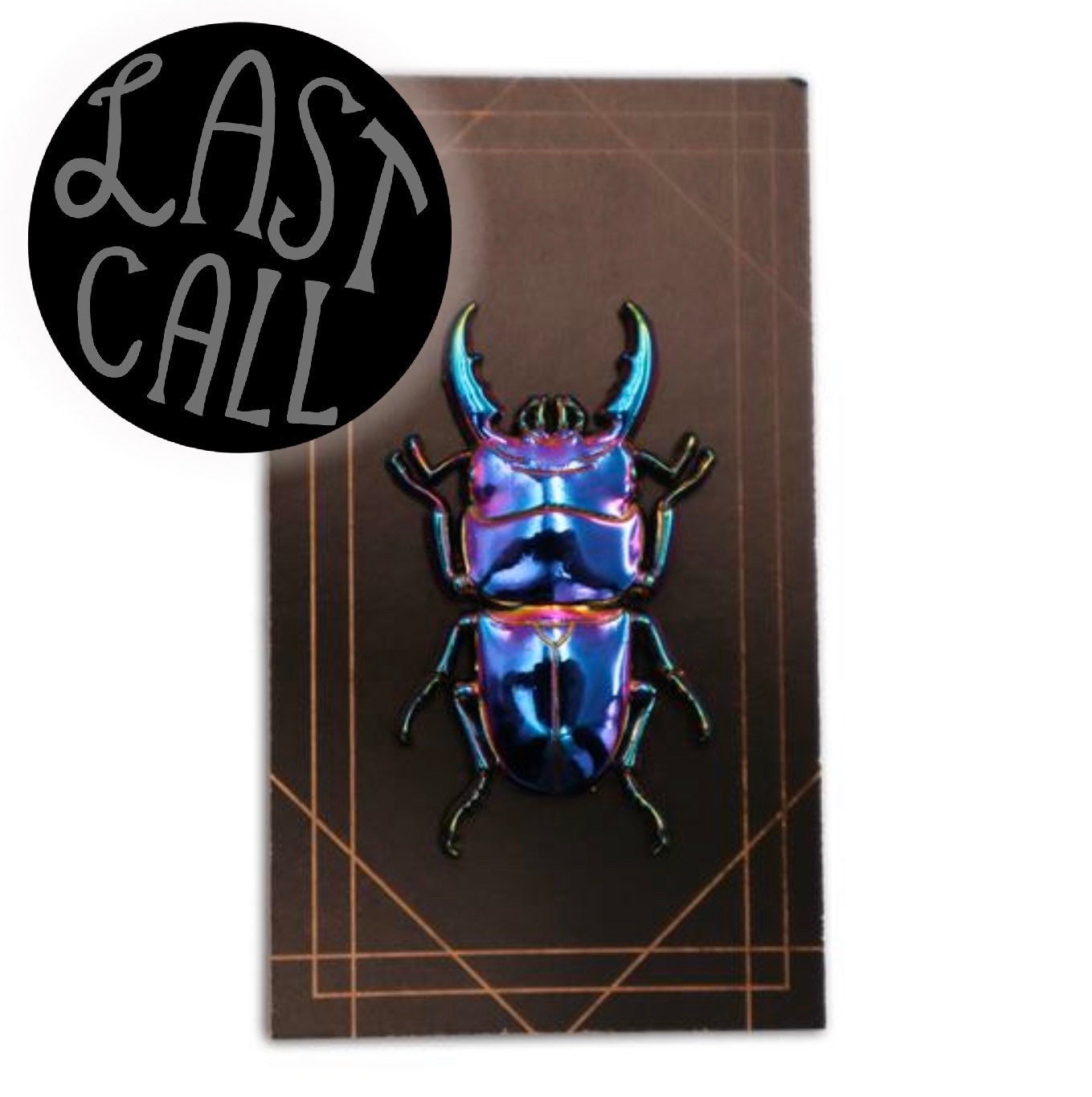 3D metal stag beetle rainbow oxide pin!
