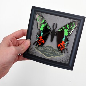 Sunset Moth Moving Wing Enamel Pin! - Etsy