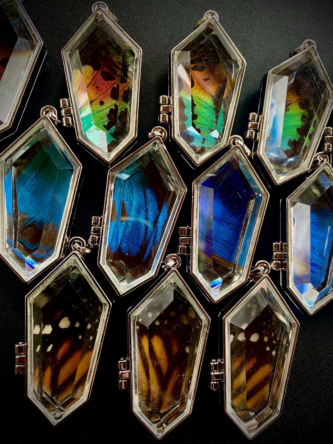 Preserved Butterfly or Moth Wing Under Glass in Coffin Shaped Locket ...