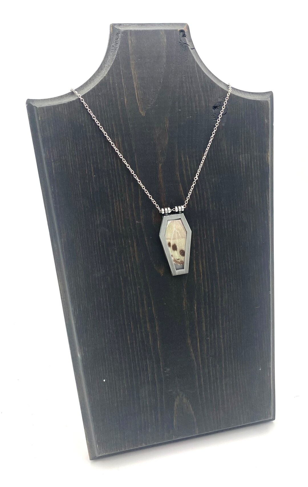 Coffin Shaped Locket With Professionally Preserved Mother of Pearl ...