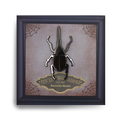 Moving Wing Goliath Beetle Enamel Pin - Etsy