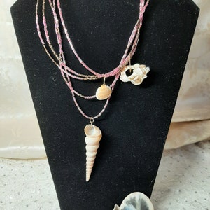 Multi Strand Sea Shell Necklace - Etsy