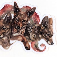 Jackal - Etsy