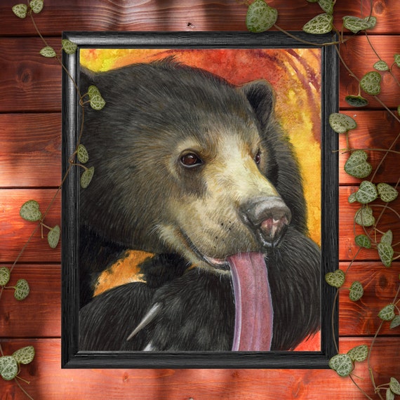 Art Print sun Bear - Etsy