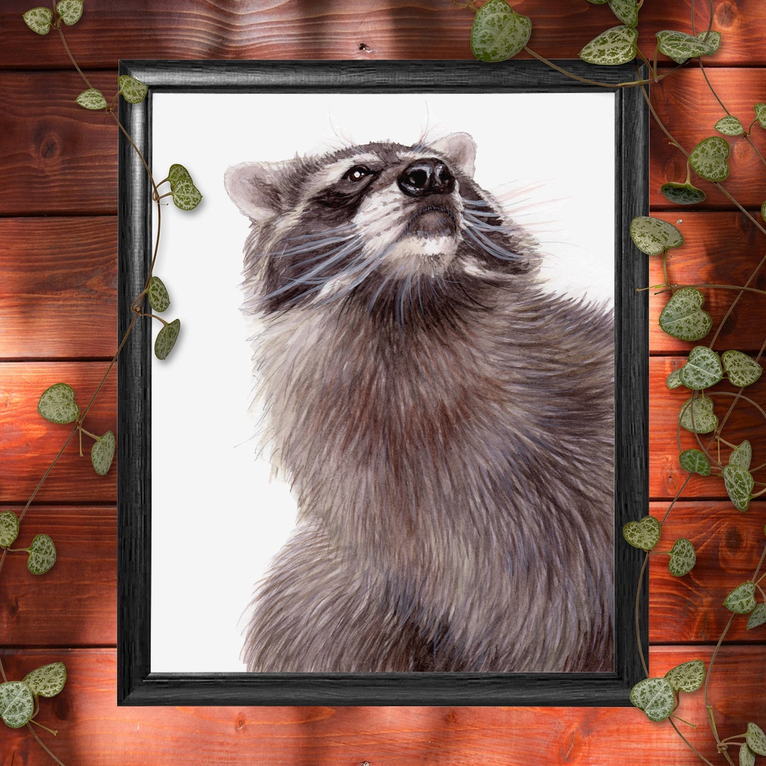 Art Print "raccoon Portrait" - Etsy