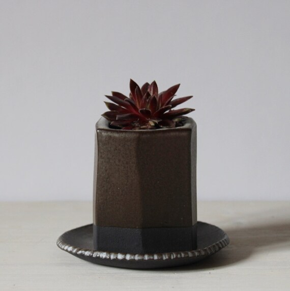 Plant Accessories Craft Supplies & Tools Faceted planter Small cactus ...