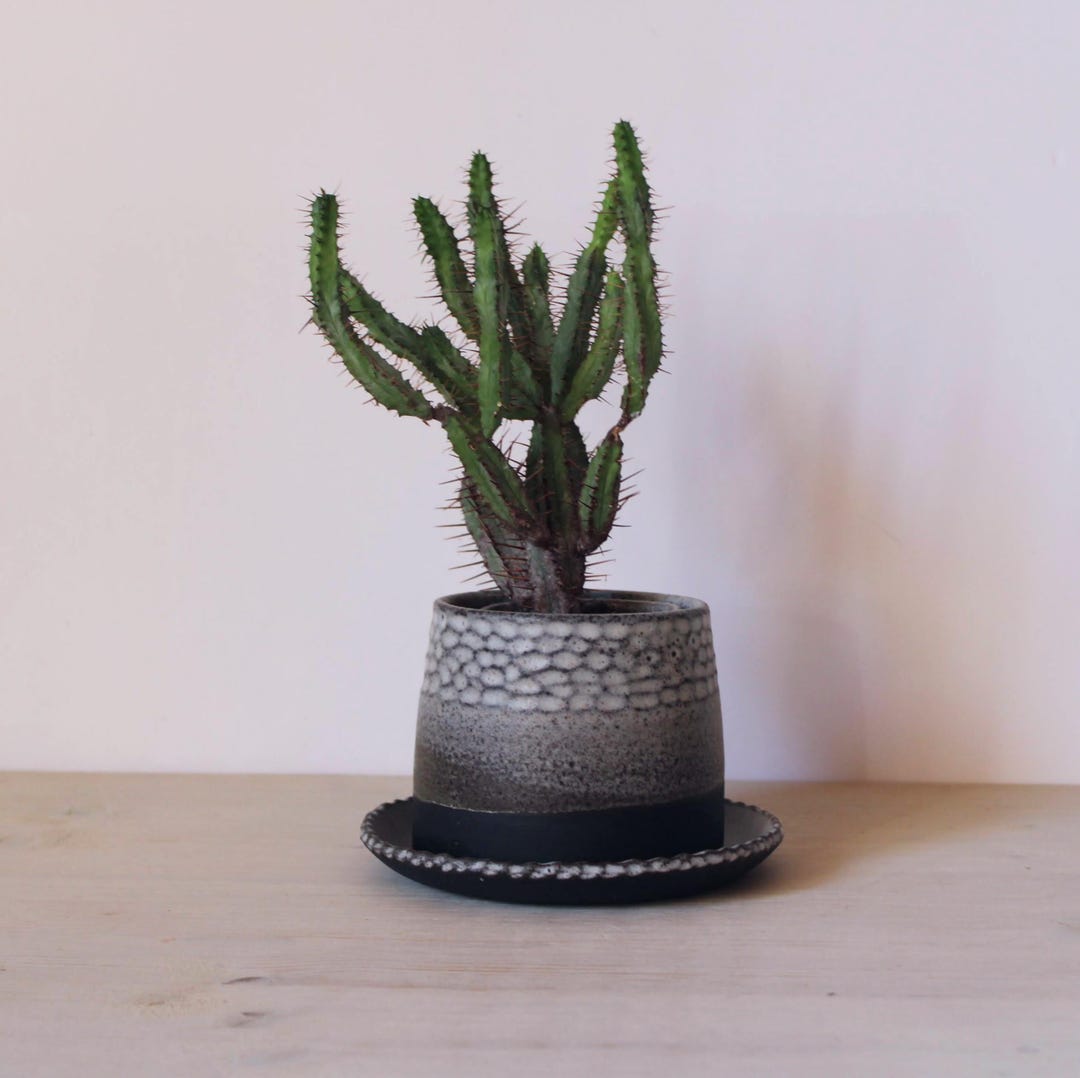 Cactus Pot, Ceramic Planter, Succulent Pot, Pottery Plant Pot, Artisan ...