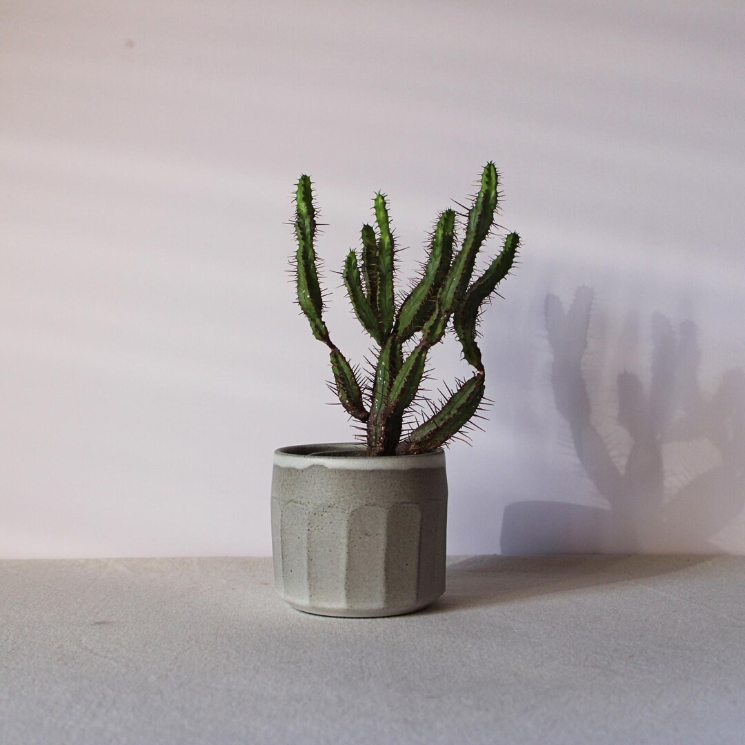 Cactus Pot, Ceramic Planter, Trinket Pot, Succulent Pot, Cylinder Vase ...