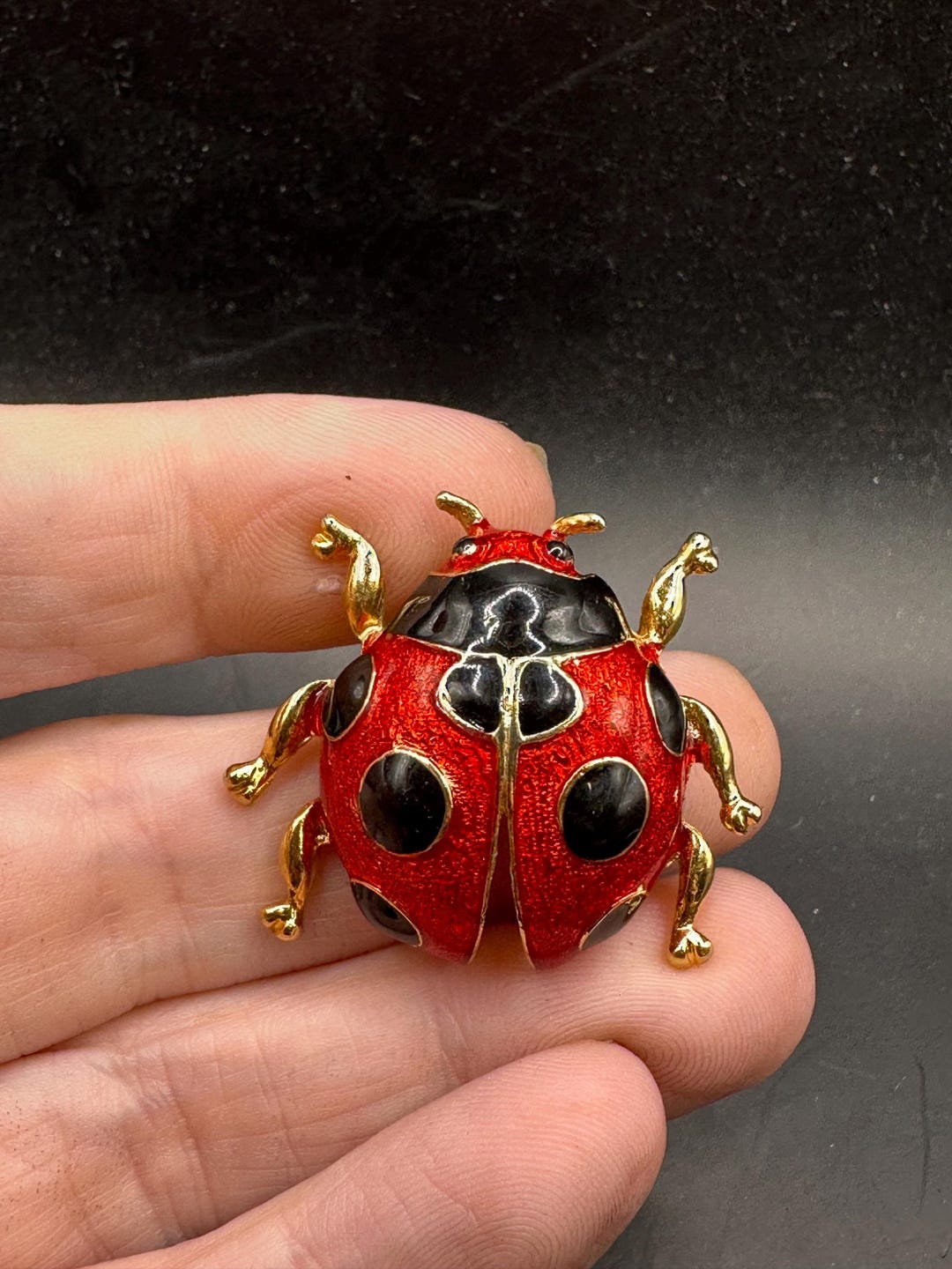 Vintage Ladybug Pin - Etsy