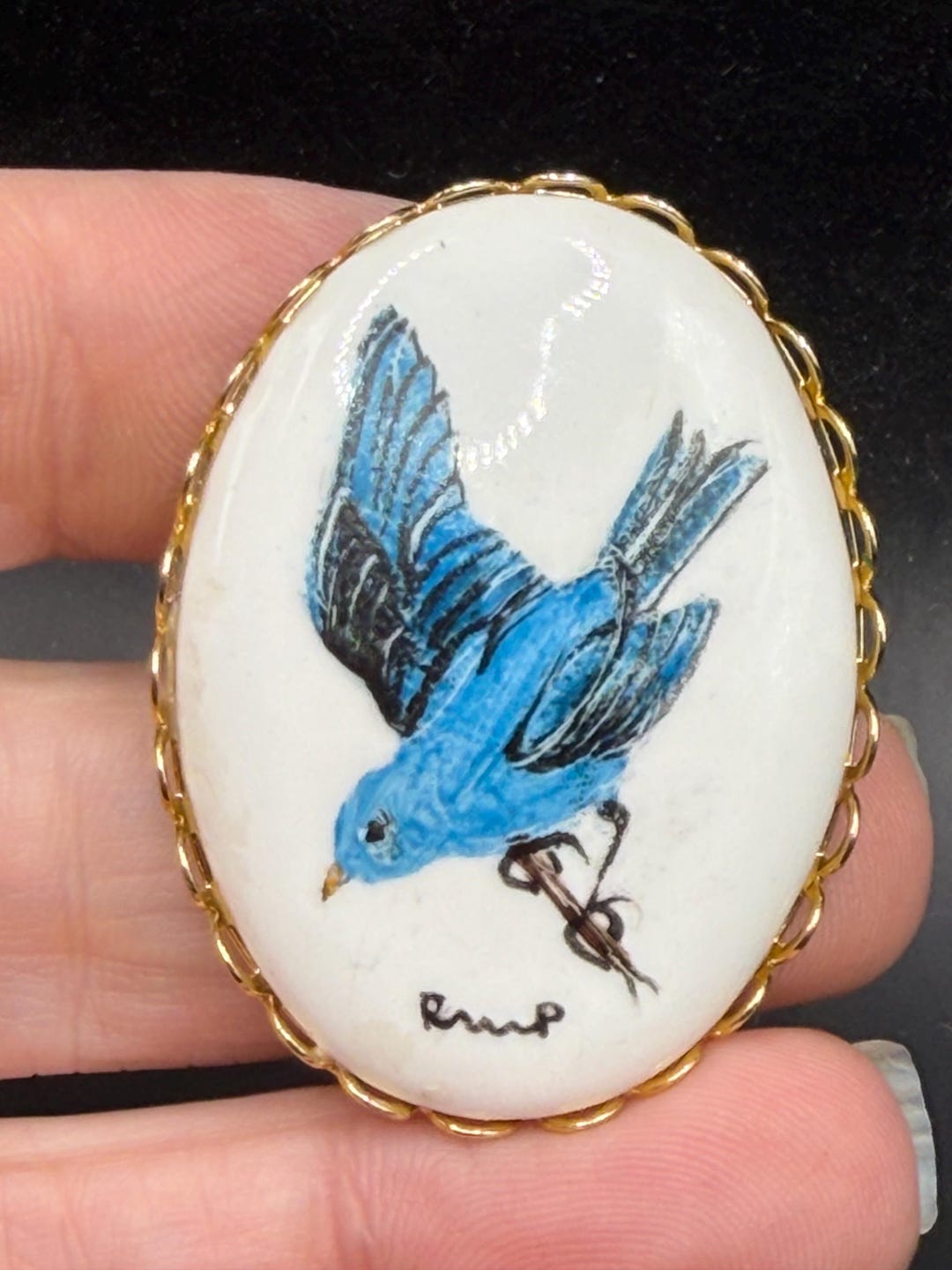 Vintage Handpainted Bluebird Oval Pin - Etsy