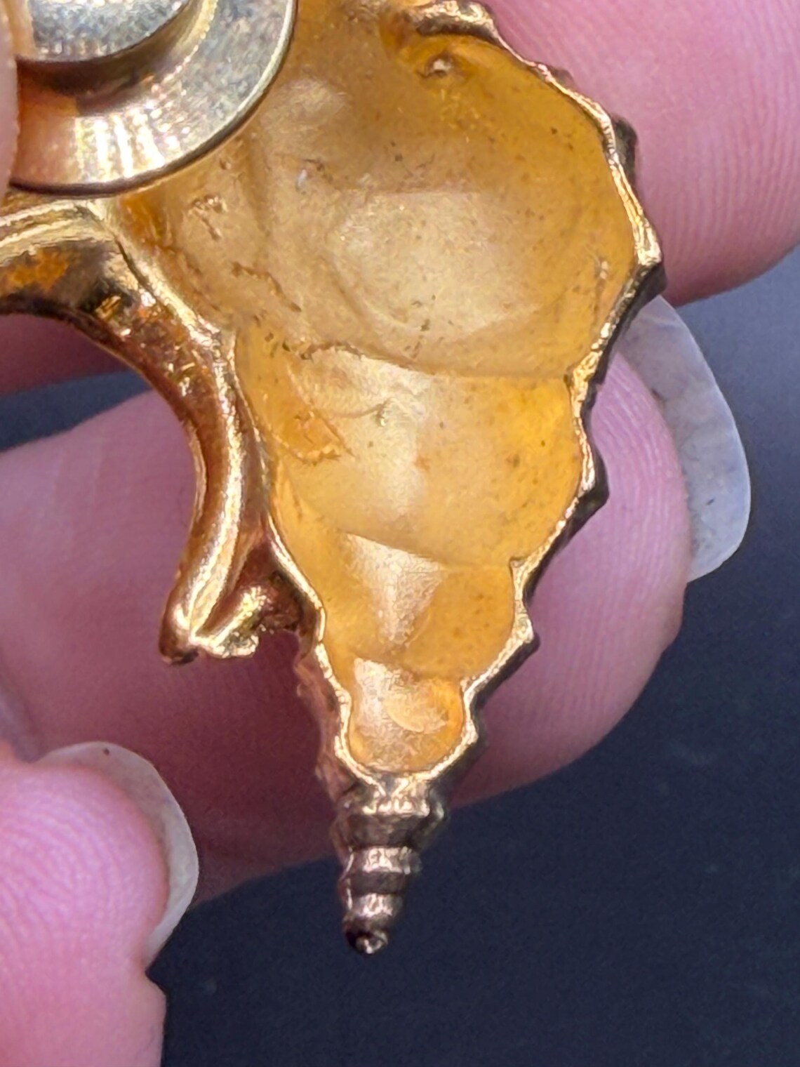 Vintage Gold Tone Metal Conch Sea Shell Brooch - Etsy