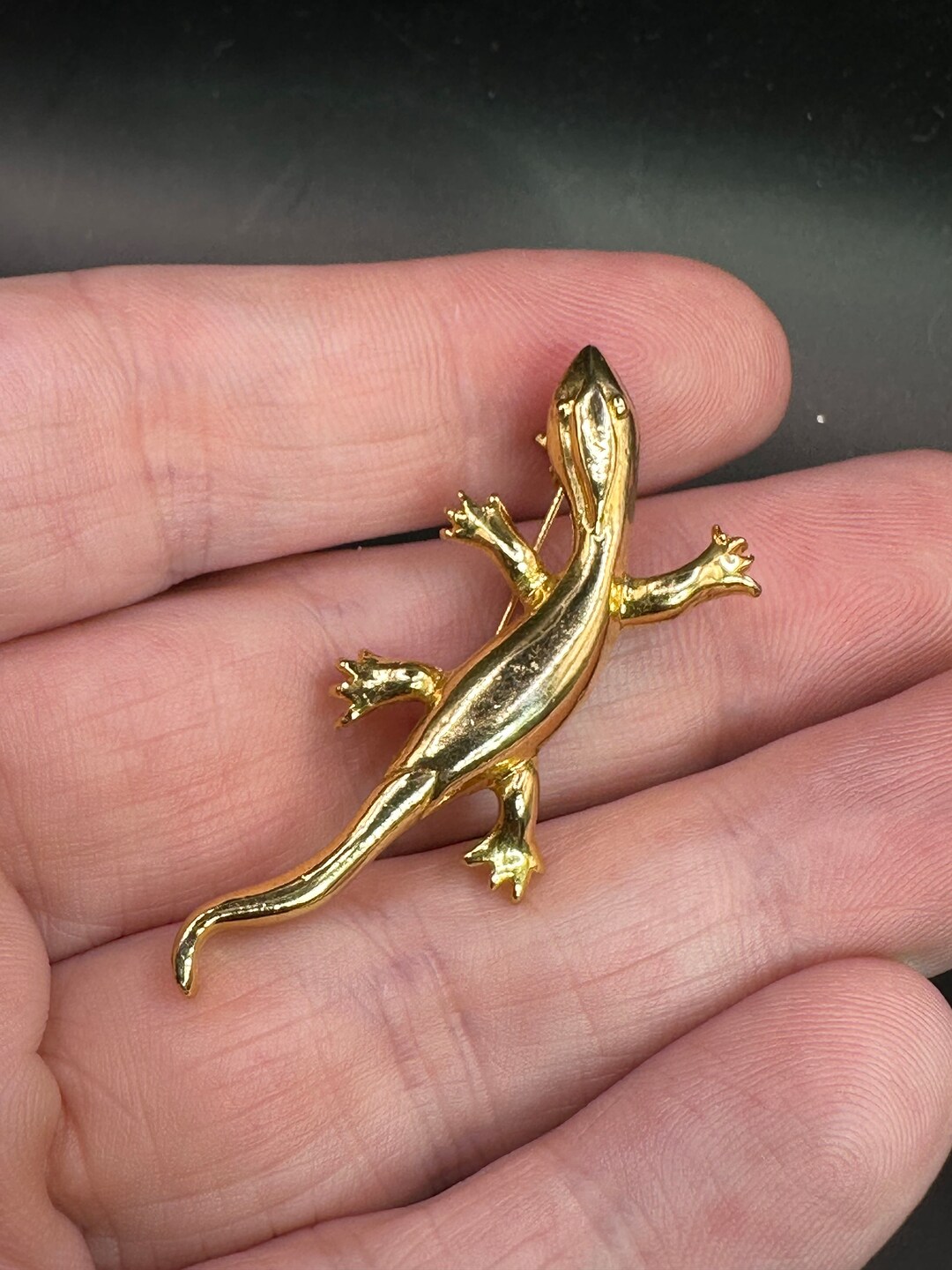 Vintage Lizard Pin - Etsy
