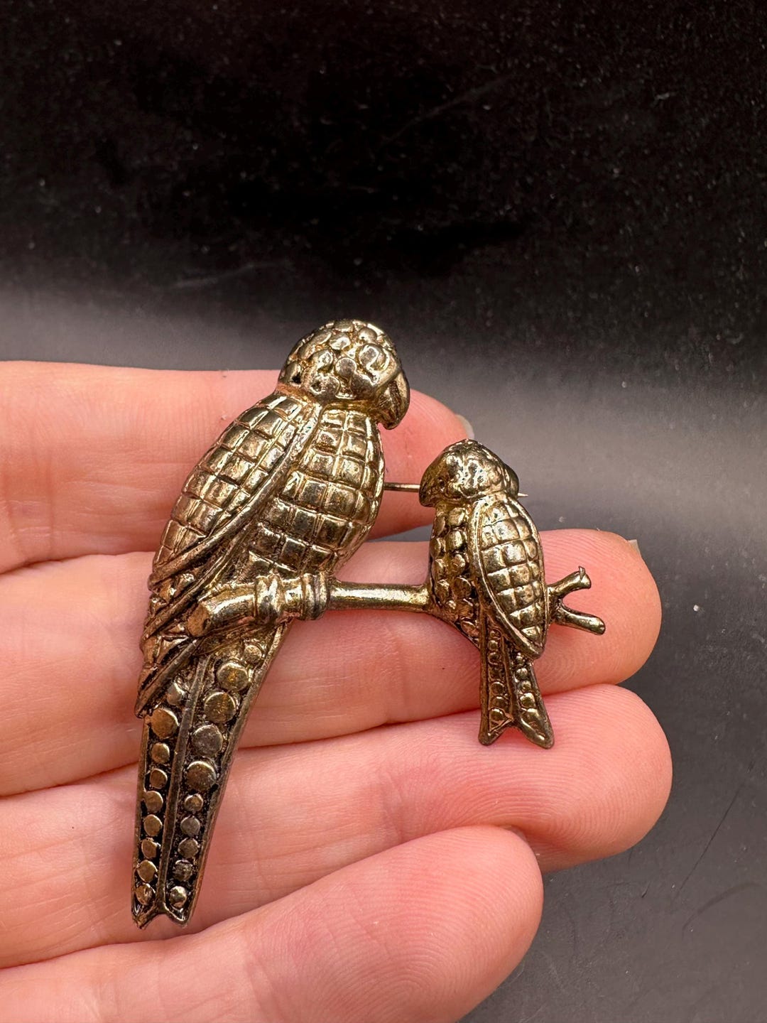 Vintage Parrot Family on Tree Limb Pin - Etsy
