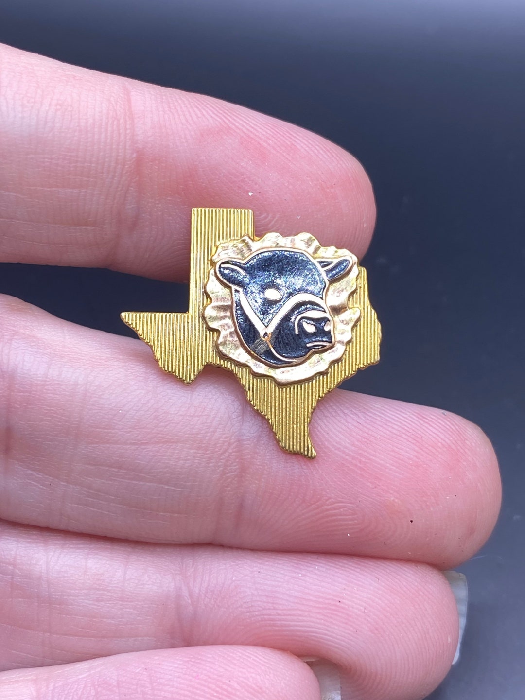 Vintage Texas Enamel Bull Pin - Etsy