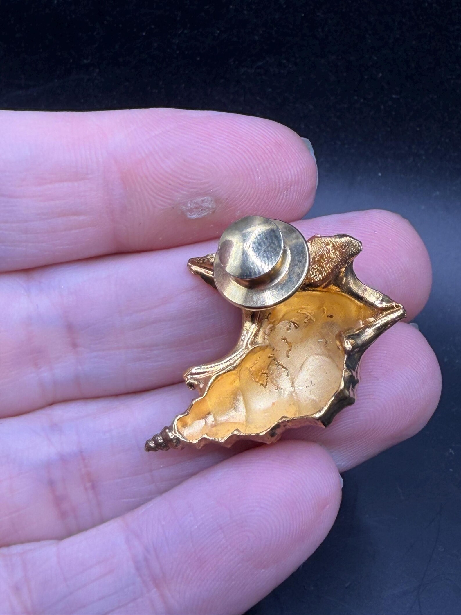 Vintage Gold Tone Metal Conch Sea Shell Brooch - Etsy