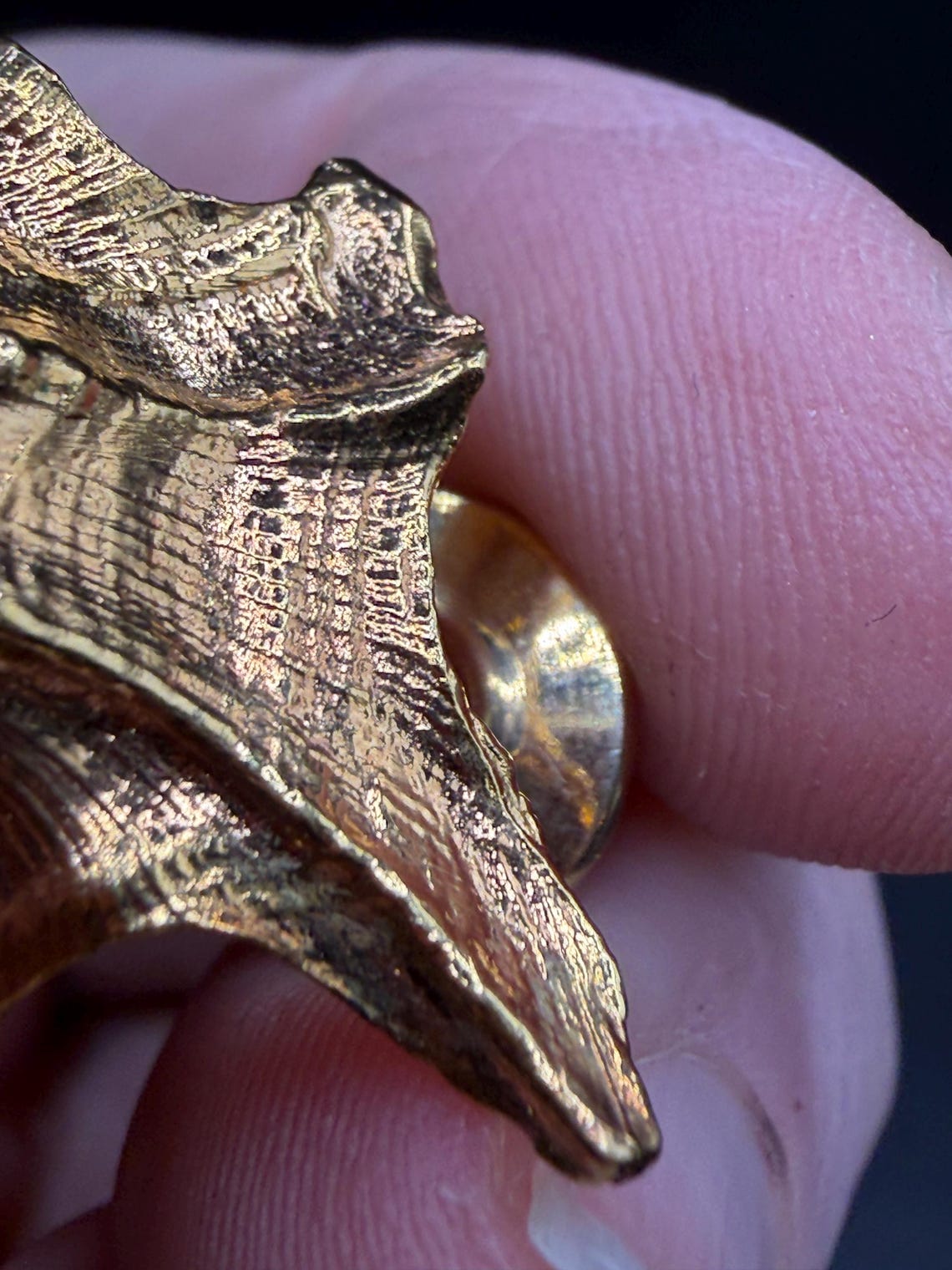 Vintage Gold Tone Metal Conch Sea Shell Brooch - Etsy