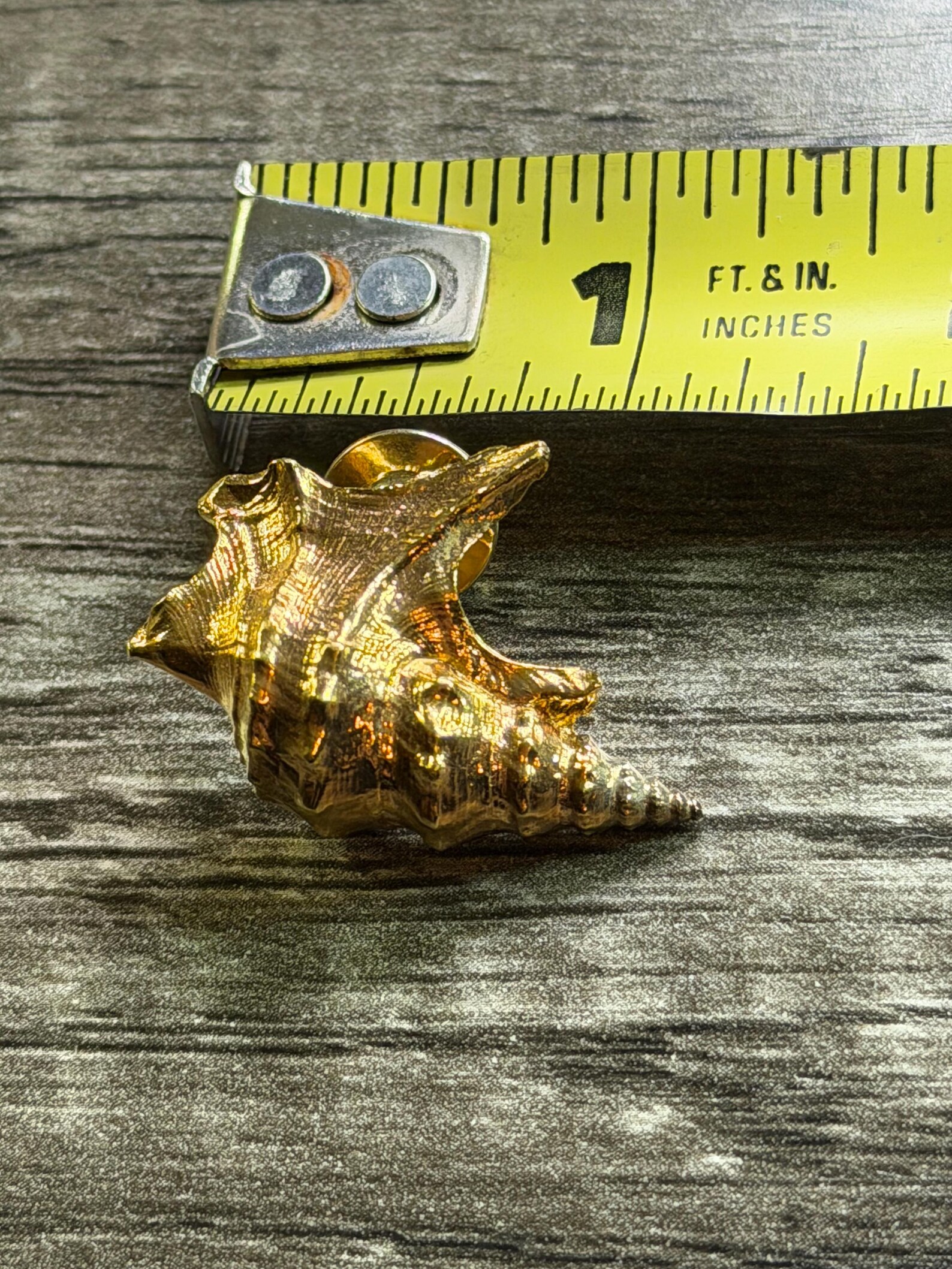 Vintage Gold Tone Metal Conch Sea Shell Brooch - Etsy