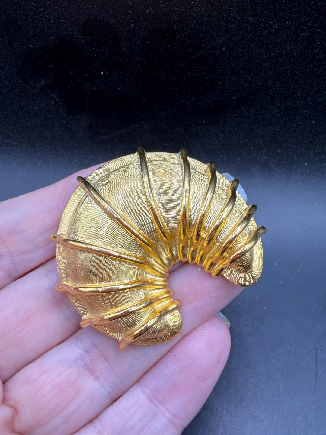 Vintage Large Statement Piece Ribbed Shell Croissant Shaped Brooch Pin ...