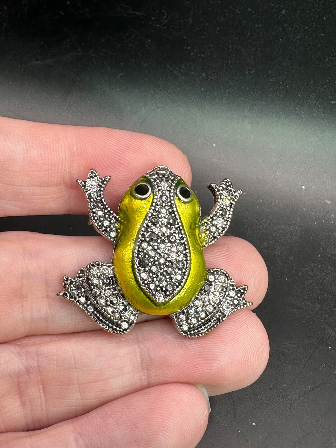 Vintage Enamel Frog or Toad Pin - Etsy
