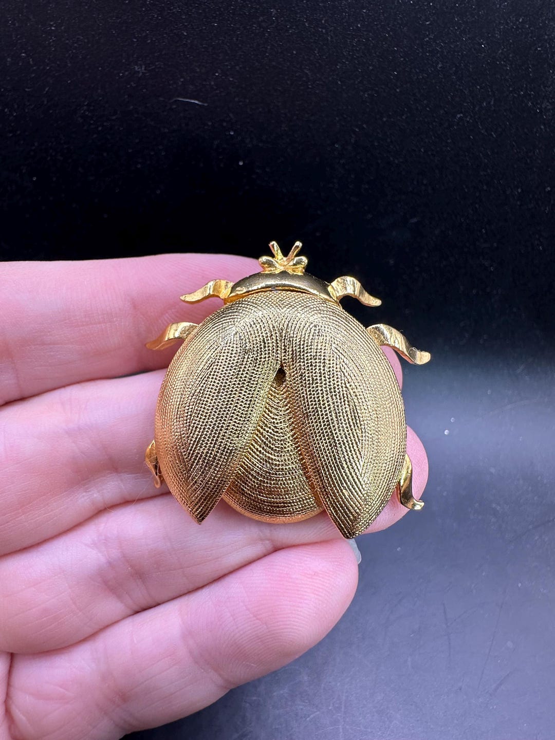 Vintage Ladybug Pin - Etsy