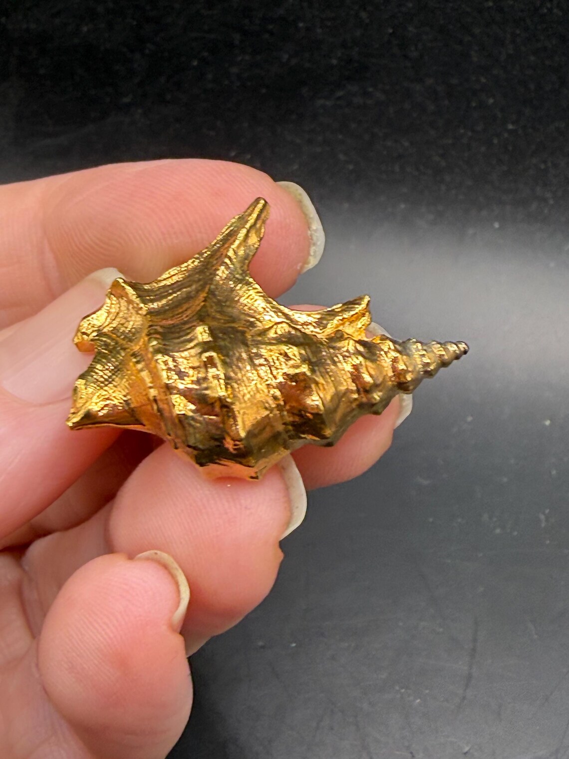 Vintage Gold Tone Metal Conch Sea Shell Brooch - Etsy