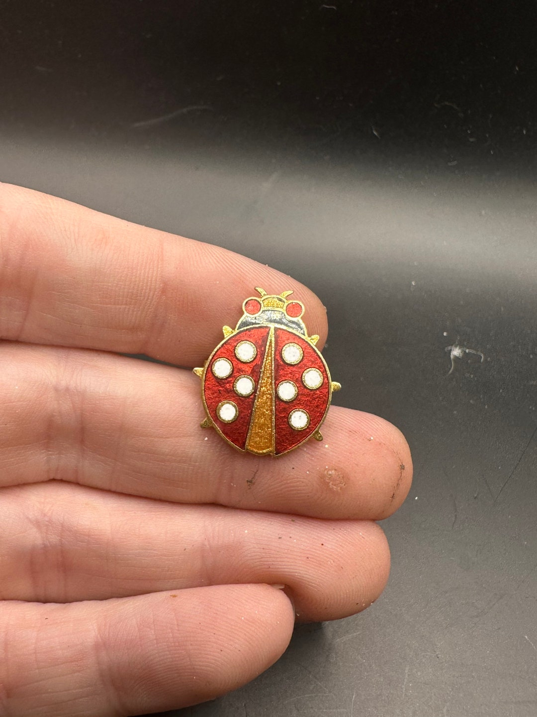 Vintage Ladybug Pin - Etsy