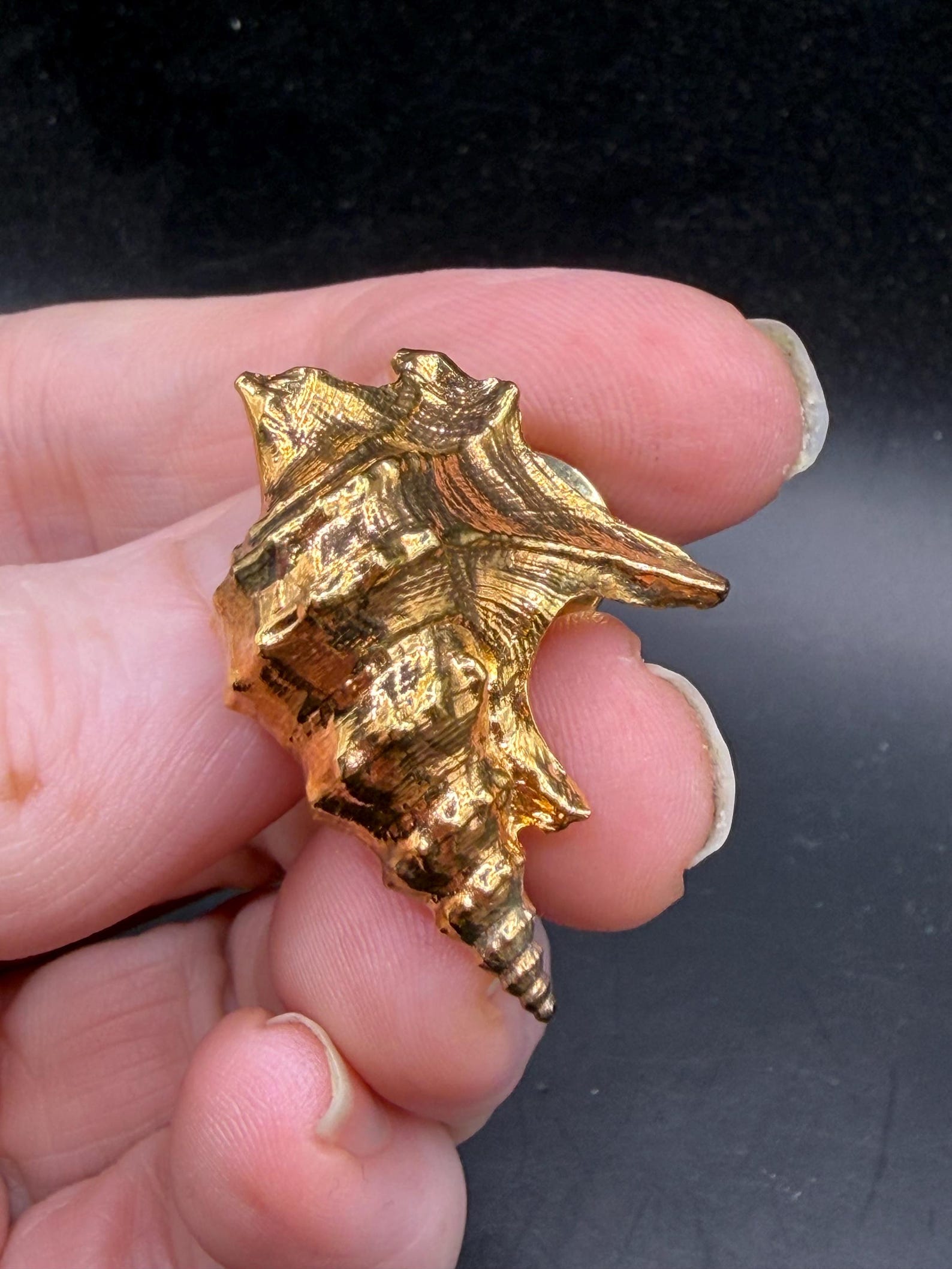 Vintage Gold Tone Metal Conch Sea Shell Brooch - Etsy