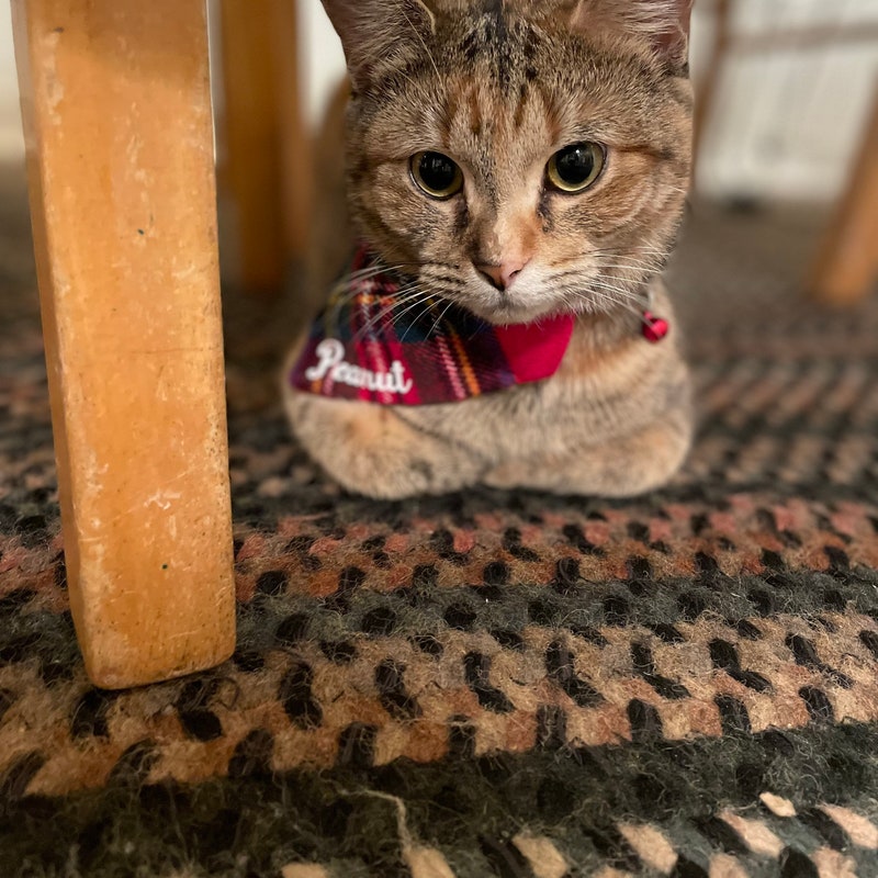 Red Bandana Cat Collars - Etsy
