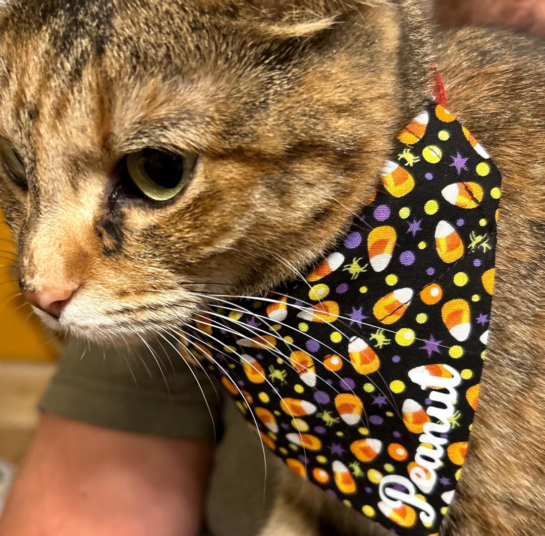 Custom Cat Bandana, Over the Collar Cat Bandana, Personalized Cat ...