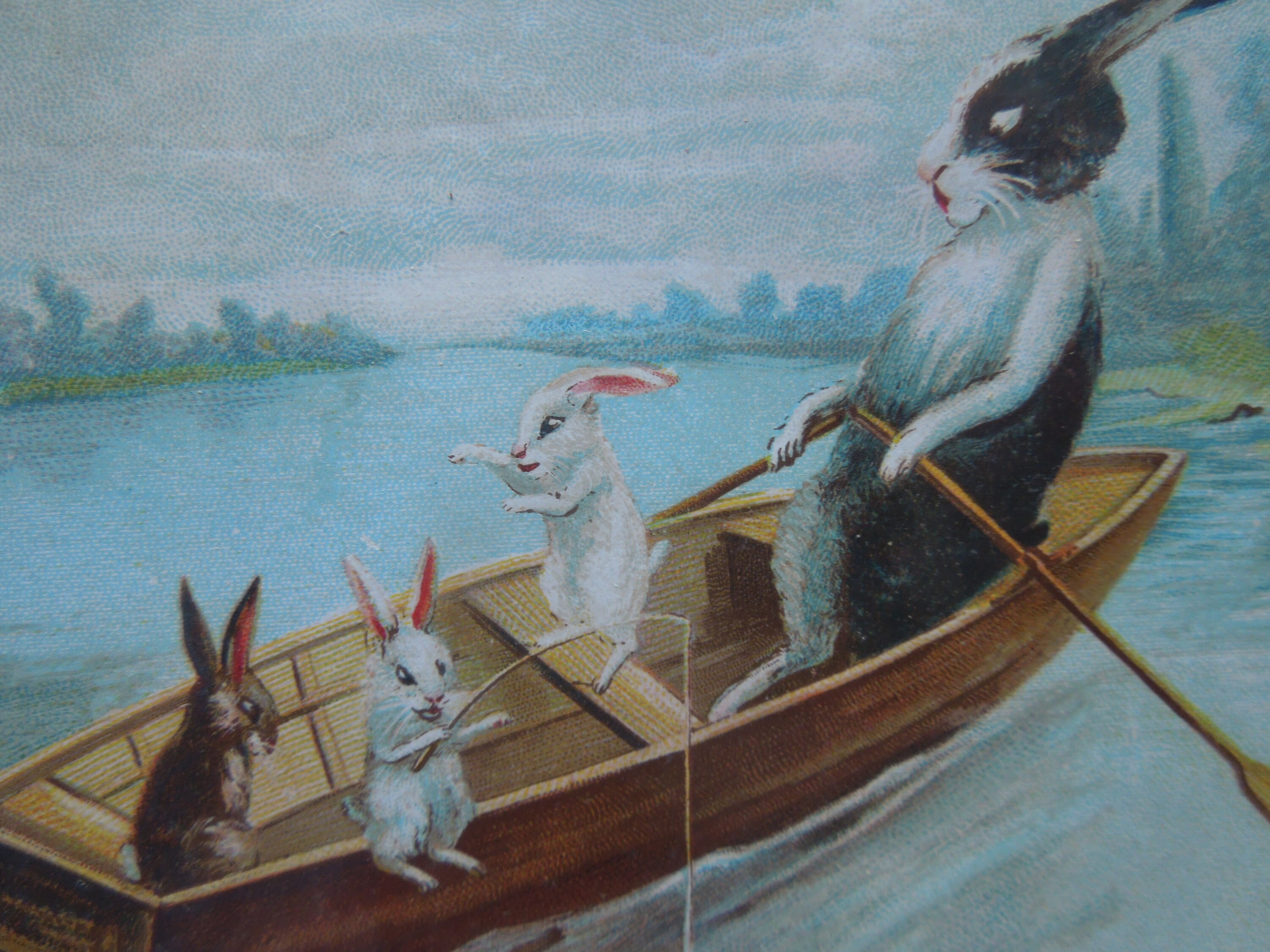 Chromo Image Old Rabbits Fishing Boat Art Nouveau Chro21 - Etsy