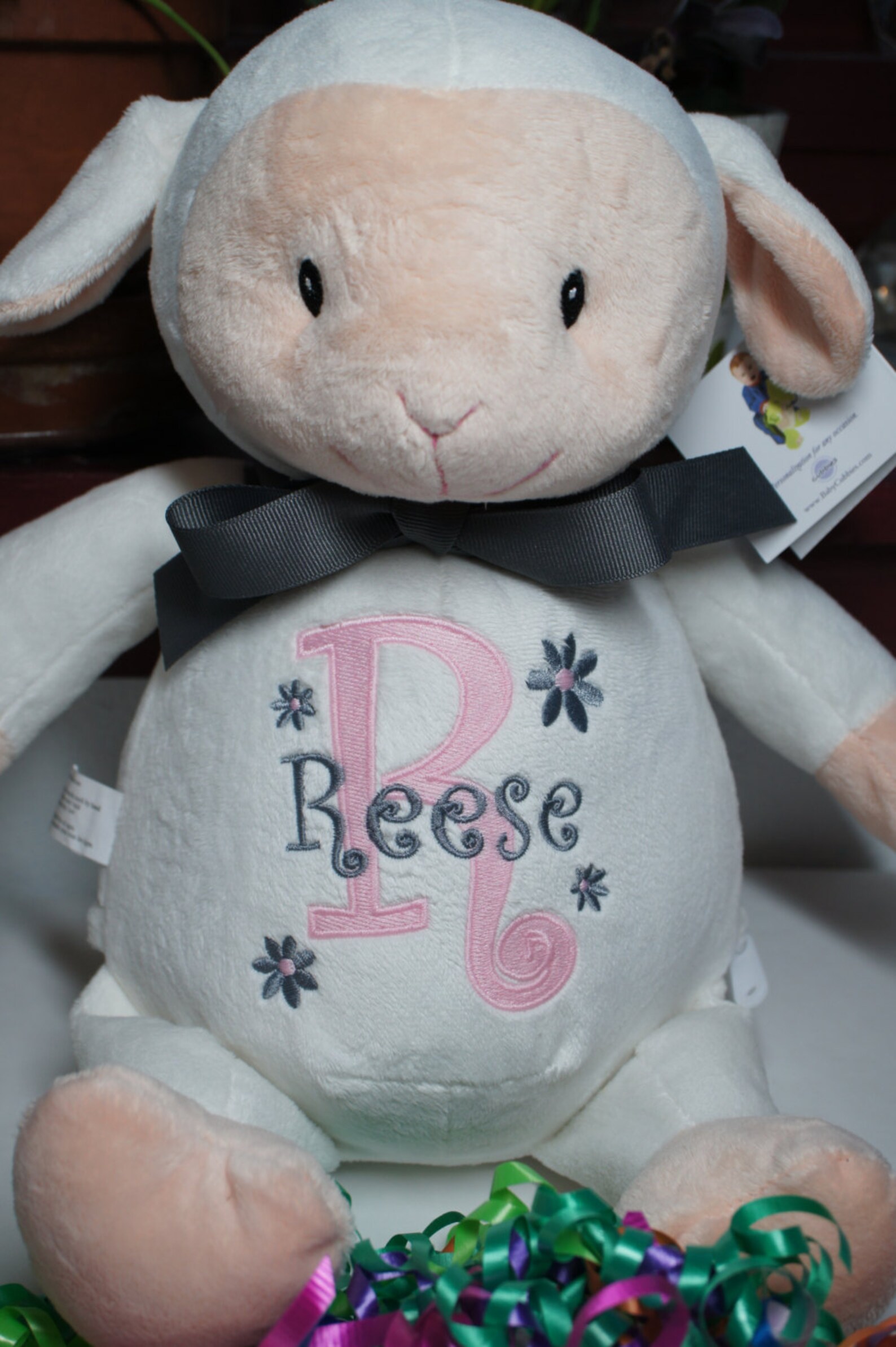 Personalized Baby Gift Baby Cubbies a plush | Etsy