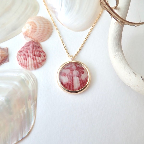 Sea Shell Necklace - Etsy