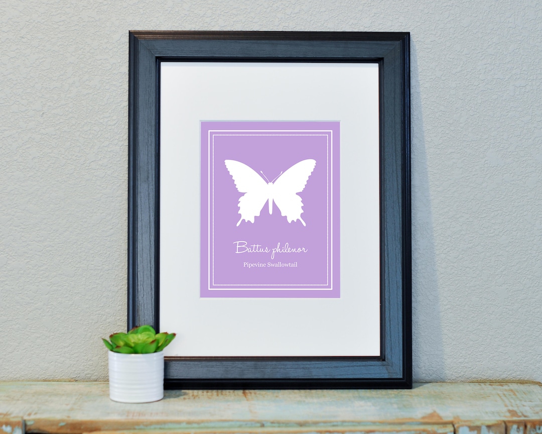 Butterfly Art Print Pipevine Swallowtail Home Decor Printable Digital ...
