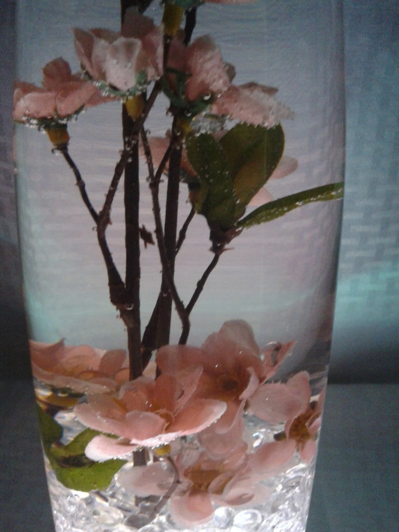 Pink Flowers Float In Water In A Slender Delicate Vase Etsy pink-flowers-float-in-water-in-a-slender-delicate-vase-etsy