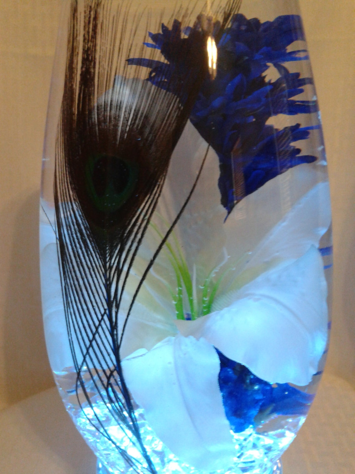 An Elegant Single Peacock Feather Displayed Against A Pure Etsy