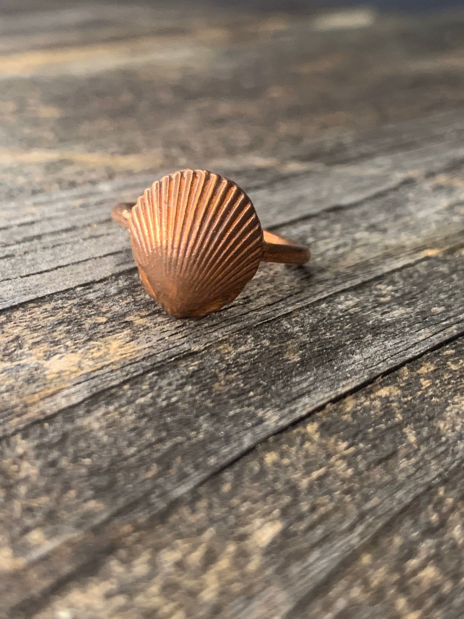 Seashell Ring. Real Shell Electroplated in Copper. Nautical - Etsy