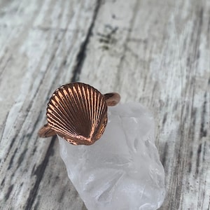 Seashell Ring. Real Shell Electroplated in Copper. Nautical - Etsy