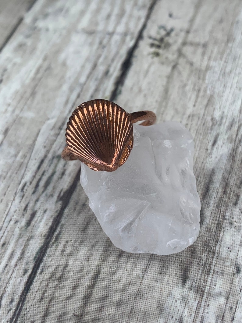 Seashell Ring. Real Shell Electroplated in Copper. Nautical - Etsy