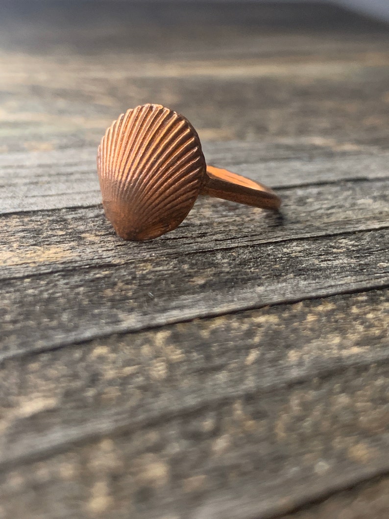 Seashell Ring. Real Shell Electroplated in Copper. Nautical - Etsy