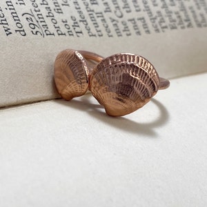 Venus Seashell Ring Real Venus Clam Shell Electroformed in - Etsy