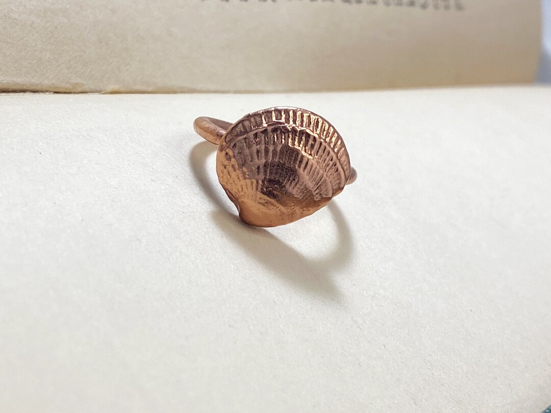 Venus Seashell Ring Real Venus Clam Shell Electroformed in - Etsy