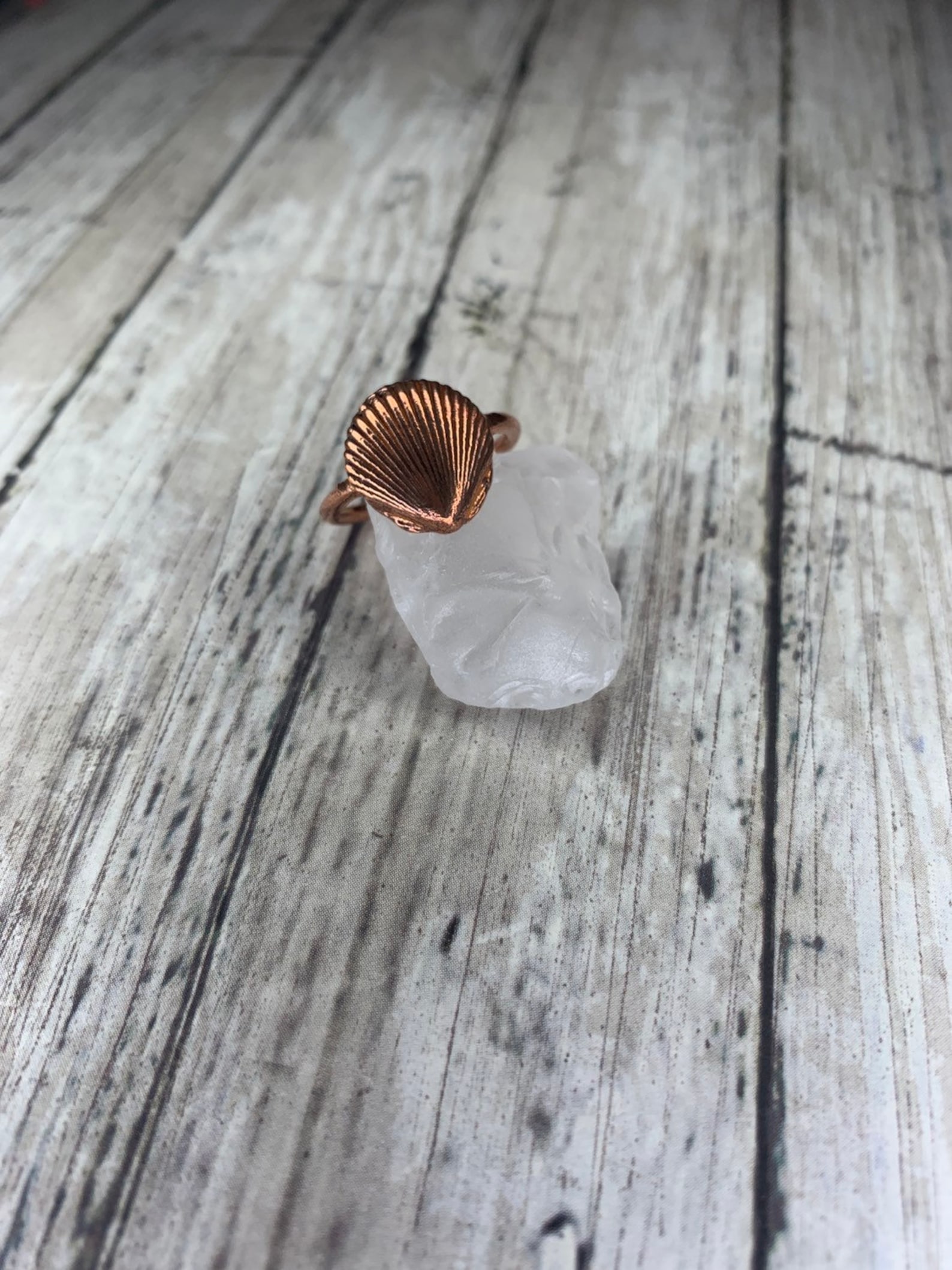 Seashell Ring. Real Shell Electroplated in Copper. Nautical - Etsy